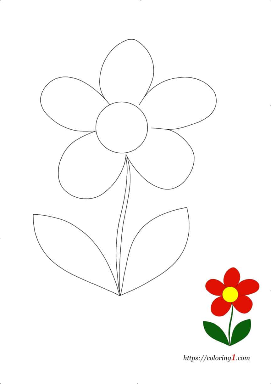 5 Petals Flower Coloring Pages - 2 Free Coloring Sheets (2021)