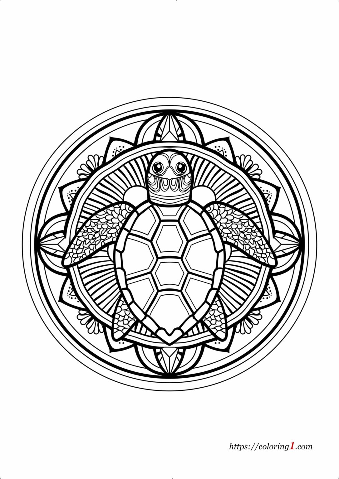 Turtle Mandala Coloring Page - Free Coloring Sheet (2024)