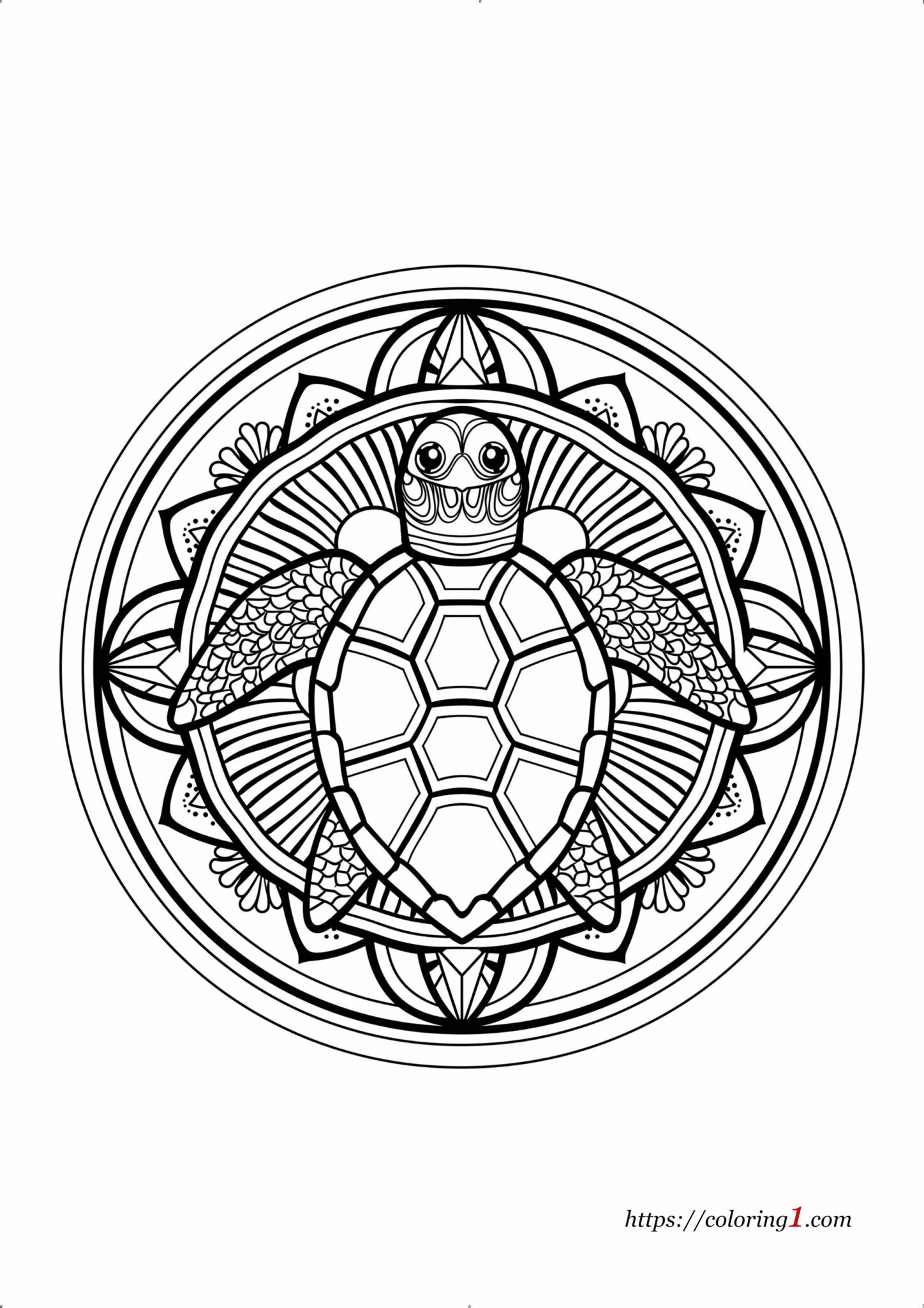 Turtle Mandala Coloring Page - Free Coloring Sheet (2024)
